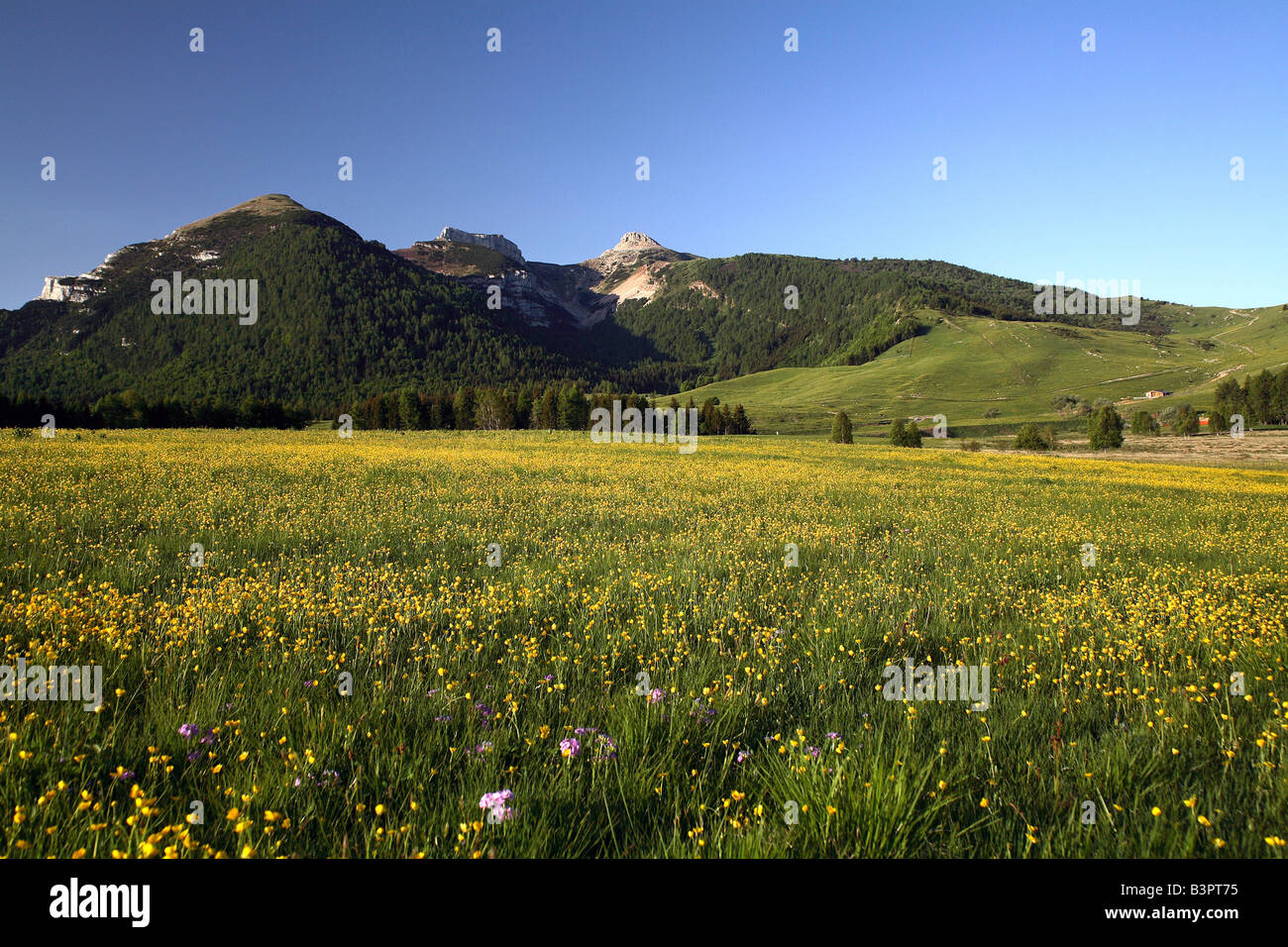 Landscape on Tre Cime del Bondone from Piana delle Viote, Monte Bondone ...