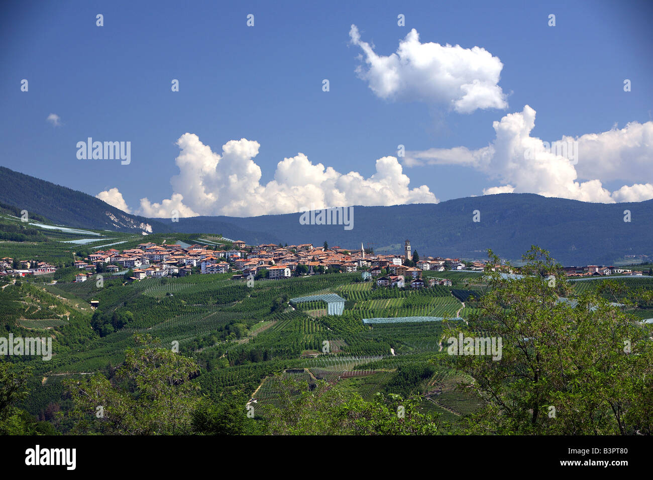 Landscape, Revò, Alta Valle di Non, Trentino Alto Adige, Italy Stock ...
