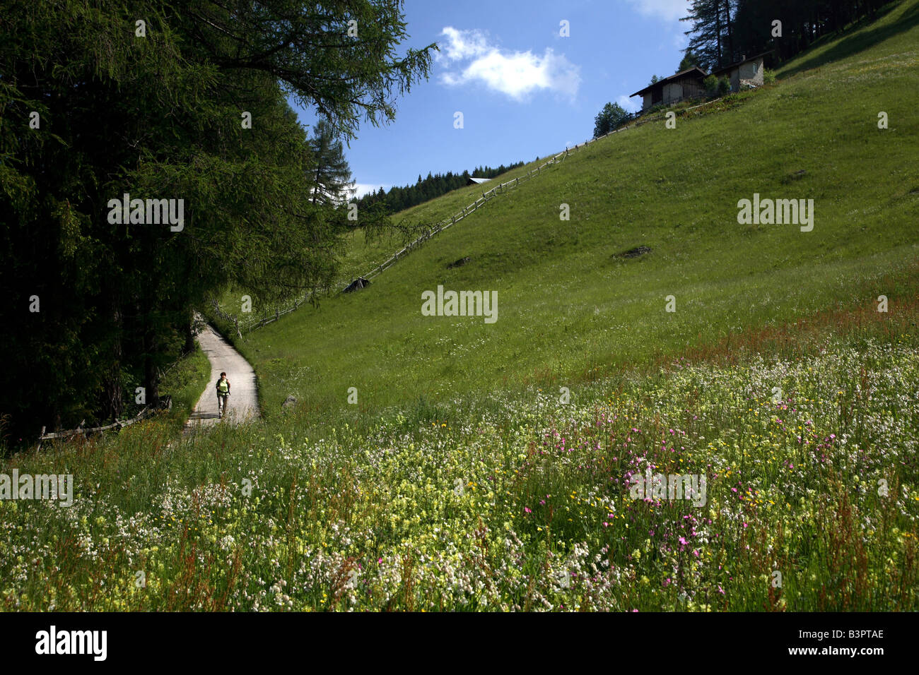 Prati imperiali area hi-res stock photography and images - Alamy