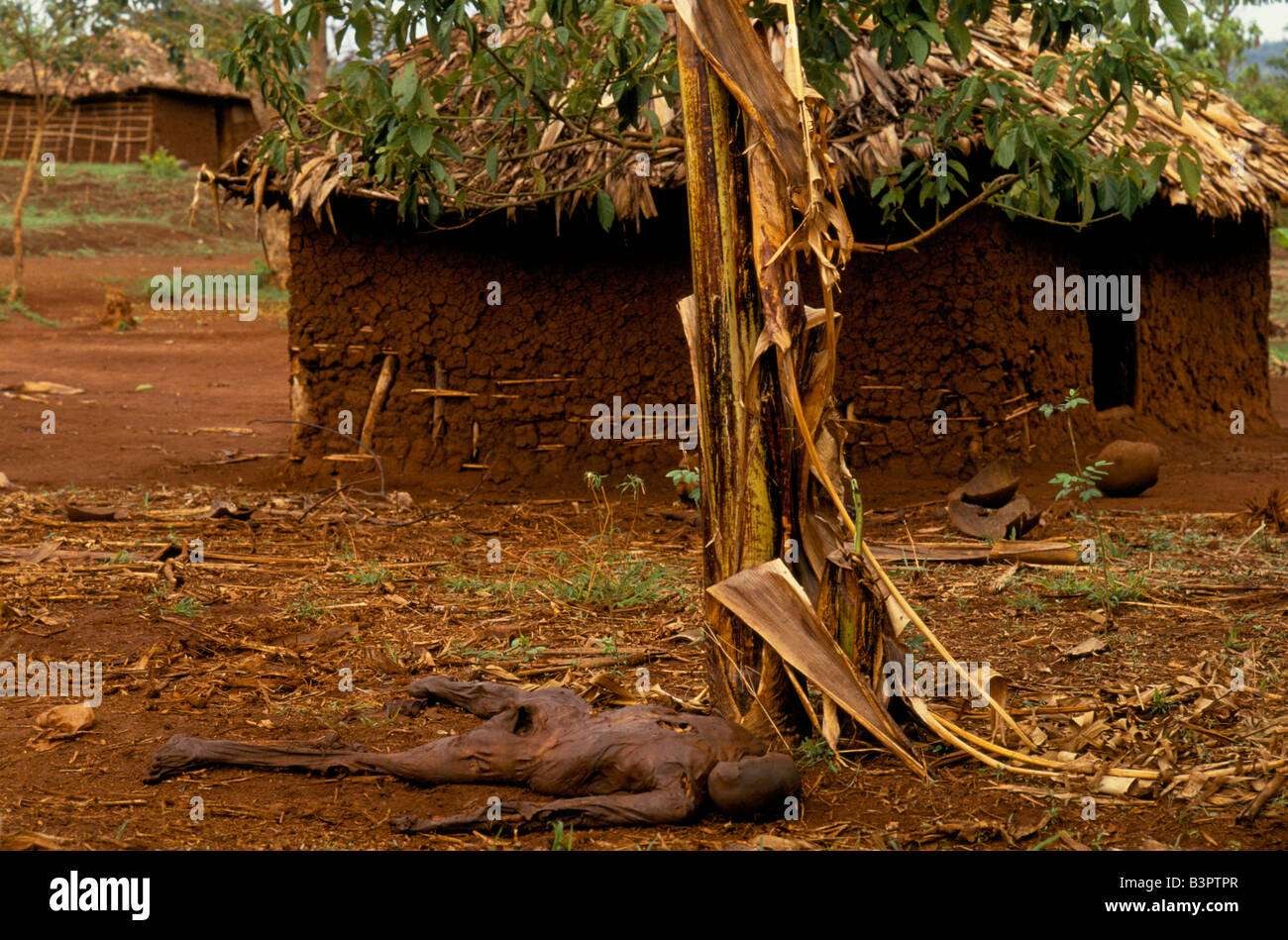 A DEAD BODY LIES OUTSIDE AN ABANDONED HOUSE NEAR THE RWANDAN BORDER ...
