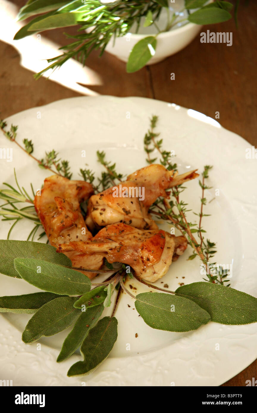 Roast rabbit with herb, Italy Stock Photo - Alamy