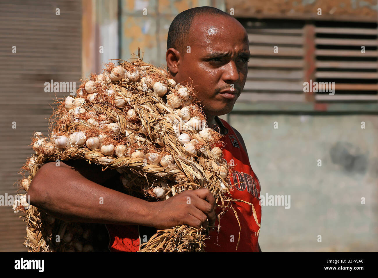 Garlic seller, Havana, Cuba island, West Indies, Central America Stock ...