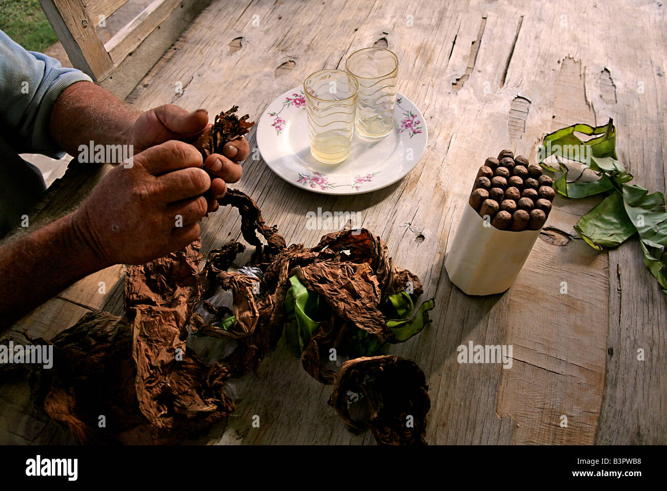 Master cigar roller hi-res stock photography and images - Alamy