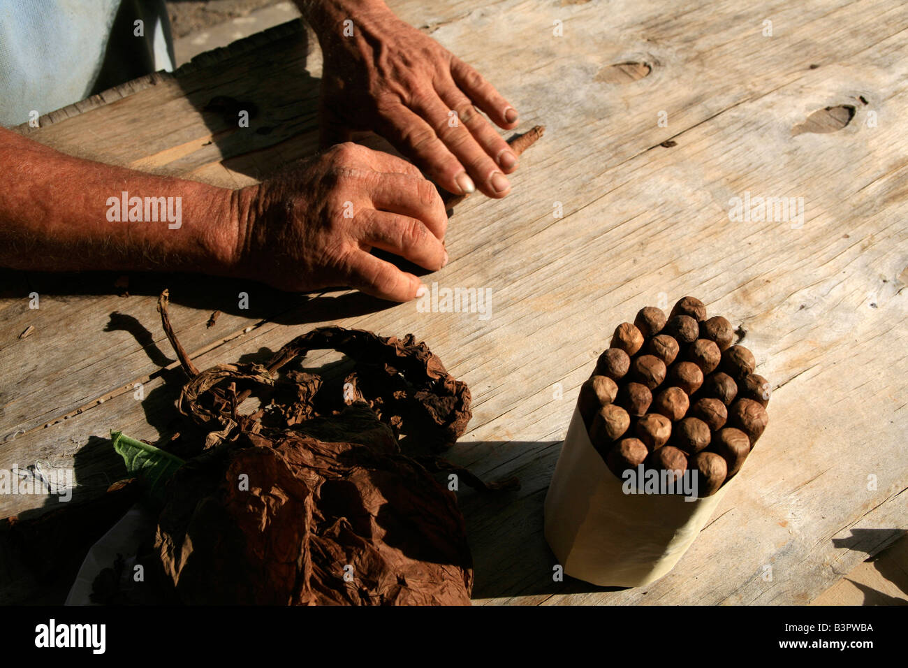 Cigar preparation, Viï¿½ales valley, Cuba, West Indies, Central America ...