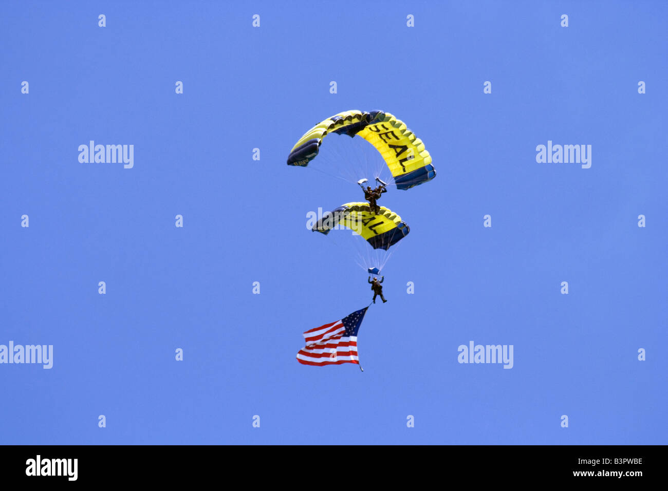 US Army Golden Knights - The United States Army Parachute Team Stock ...