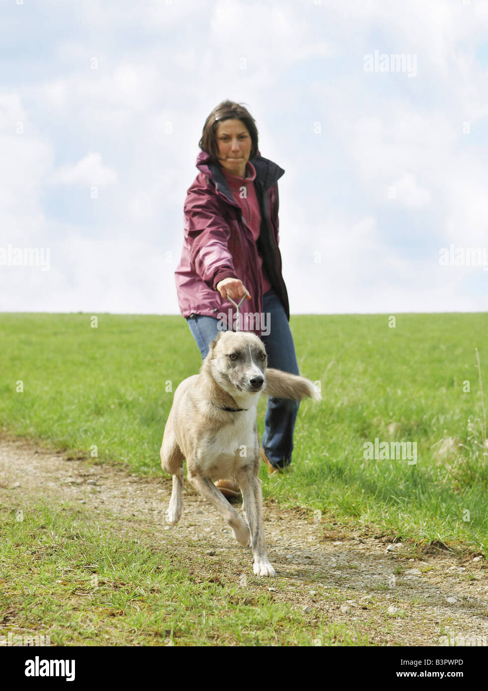 woman with half breed dog Stock Photo - Alamy