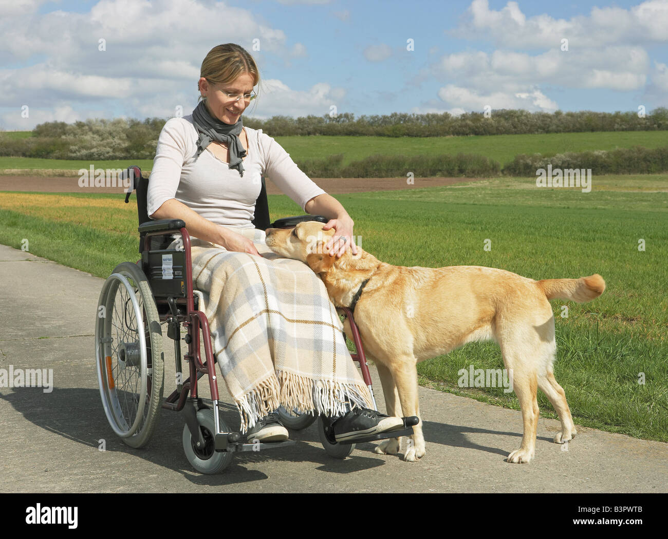 woman in wheelchair with labrador retriever Stock Photo - Alamy