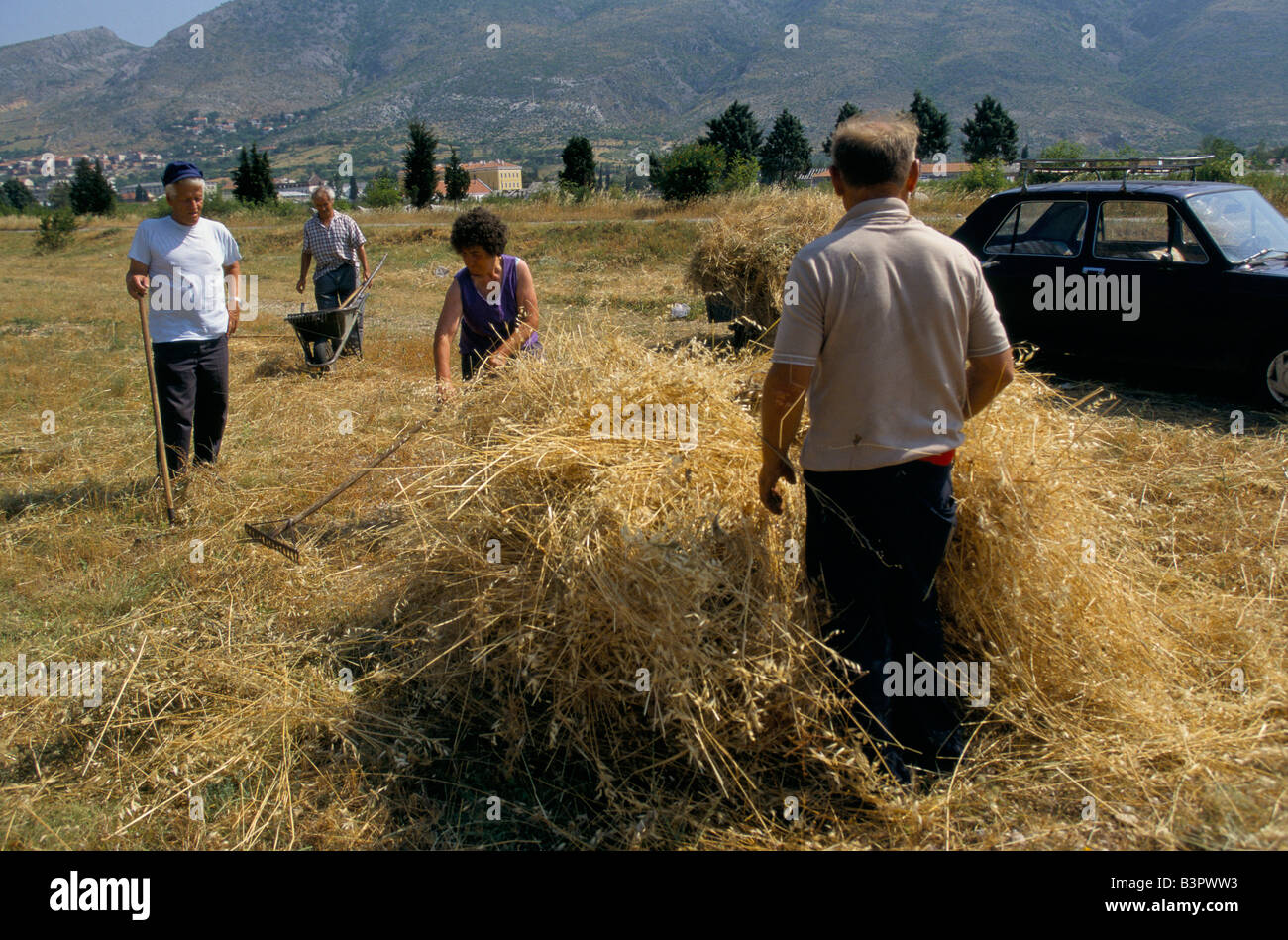 Mostar, june 1996', three men & one woman collecting hay from ...