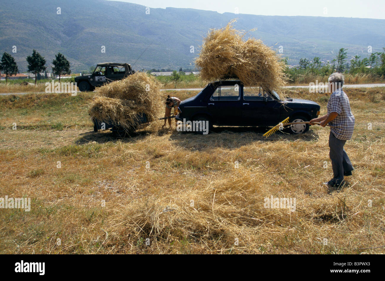 mostar, june 1996', family collecting hay from unharvested fields ...