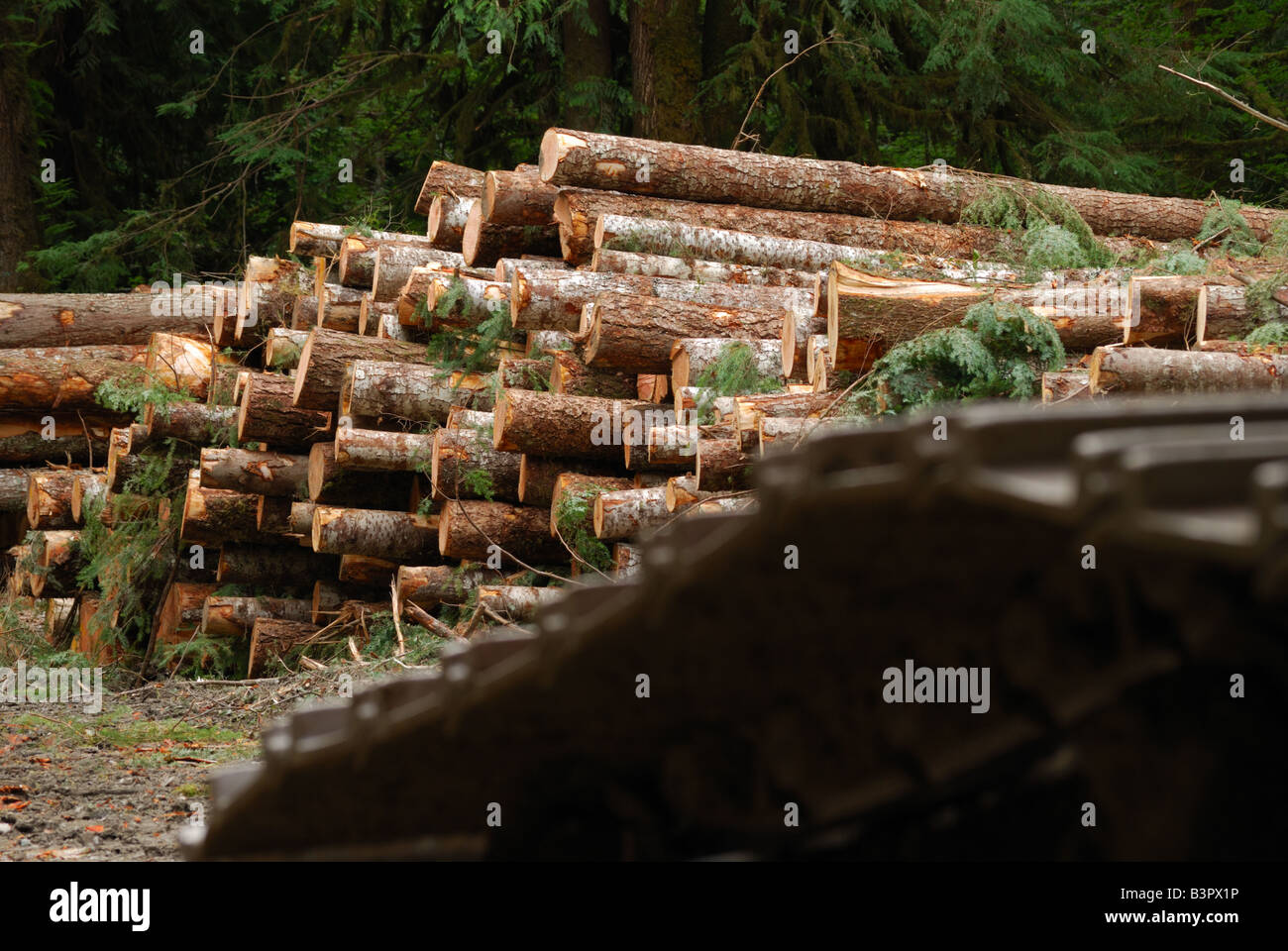 Logging equipment hi-res stock photography and images - Alamy