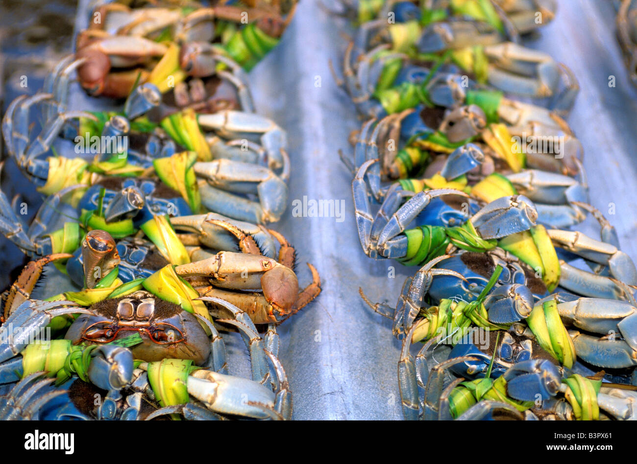 Land crabs on display in market on Tobago, Caribbean island, a local ...