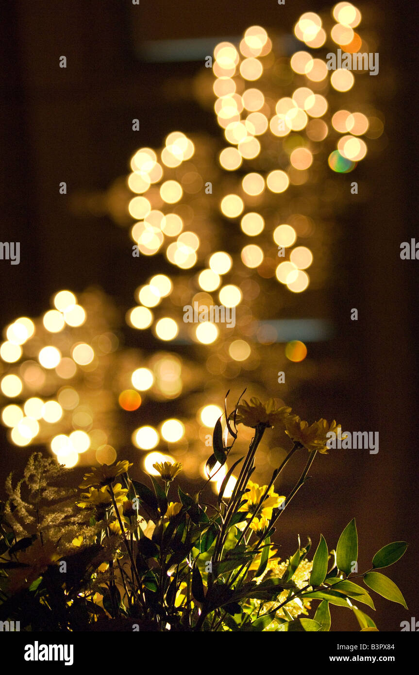 plants against night sky with lights Stock Photo - Alamy