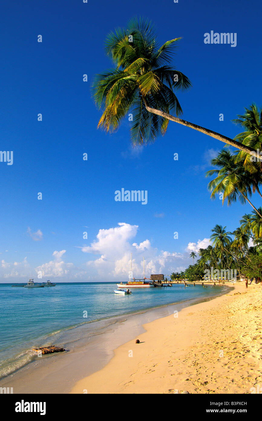 Pigeon point heritage park hi-res stock photography and images - Alamy