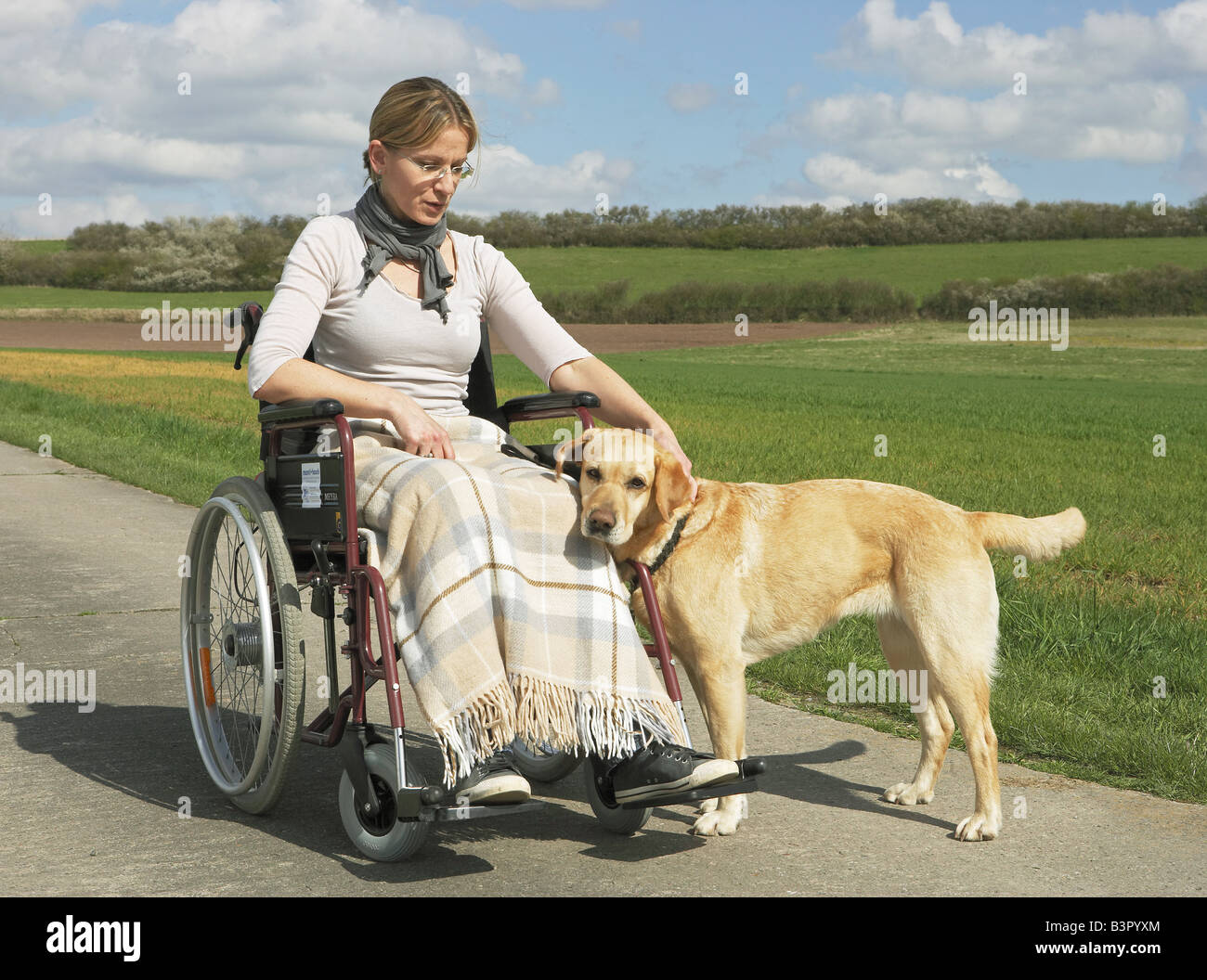 woman in wheelchair with labrador retriever Stock Photo - Alamy