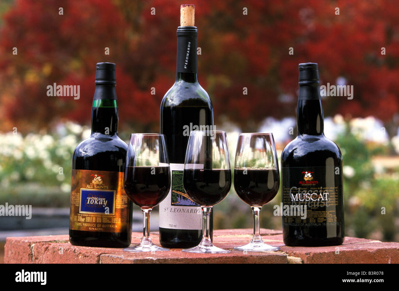 Alcohol bottles spirits liqueurs hi-res stock photography and images ...