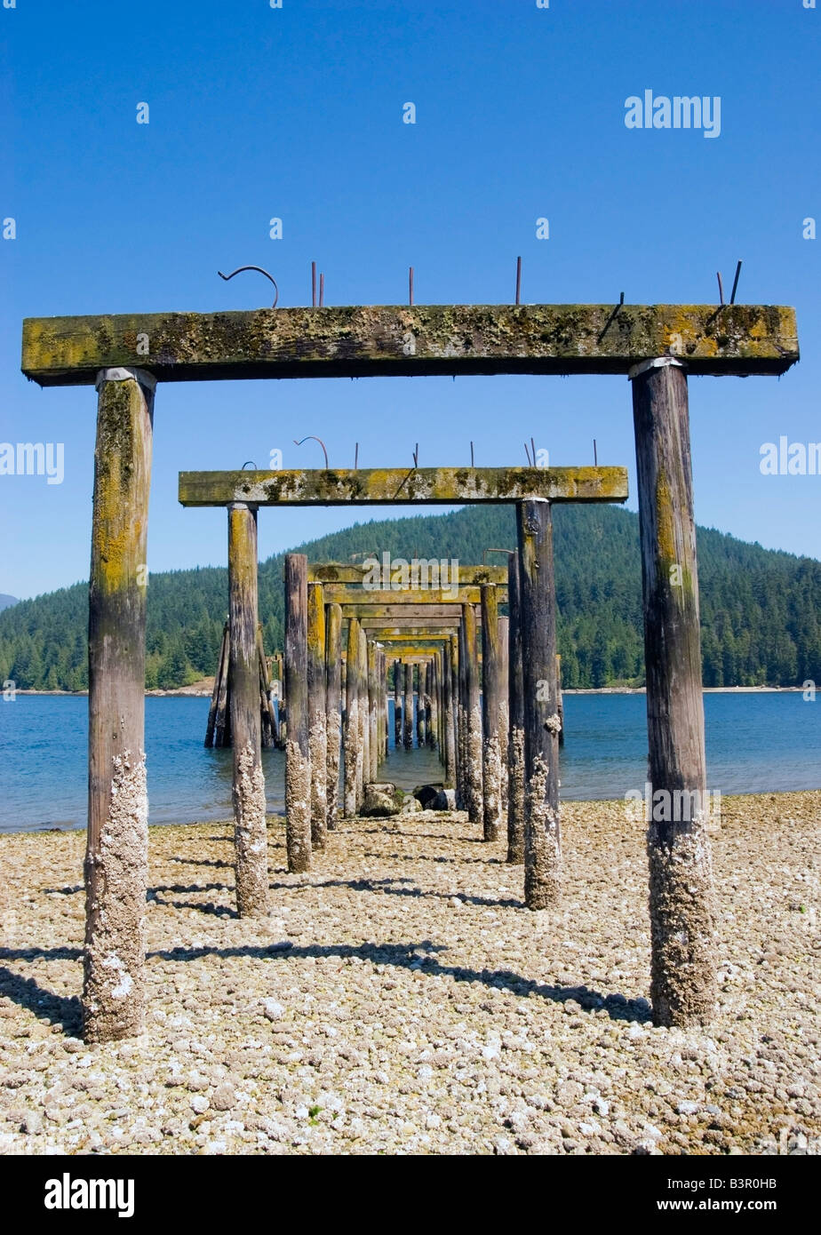 The remains of a old pier stretch into the Burrard inlet from Barnet ...
