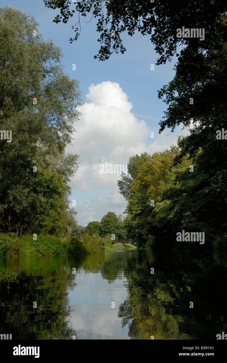 Quiet tree lined channel of the River Wey Navigation, between Guildford ...