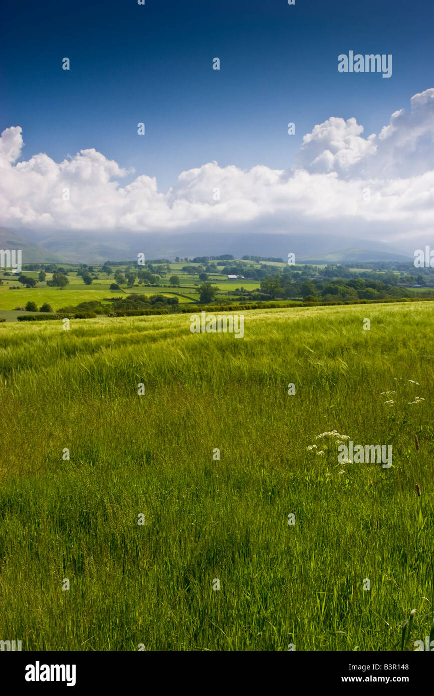 Countryside near Langwathby Cumbria, England Great Britain UK 2008 ...