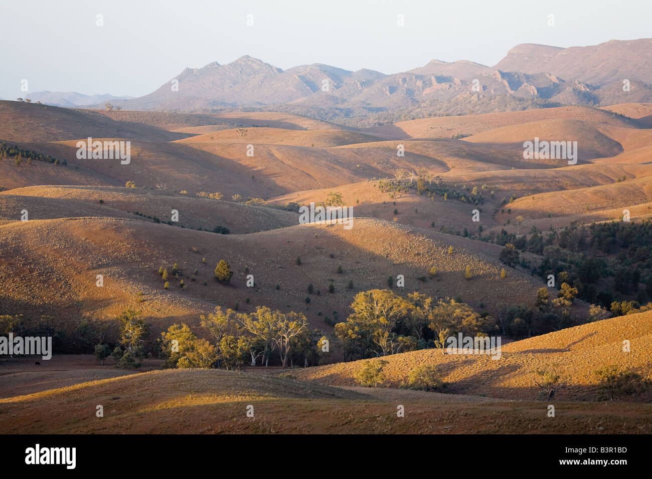Flinders Ranges South Australia Stock Photo - Alamy