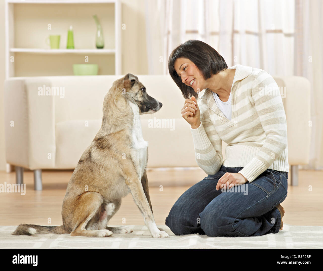 Woman half breed dog hi-res stock photography and images - Alamy