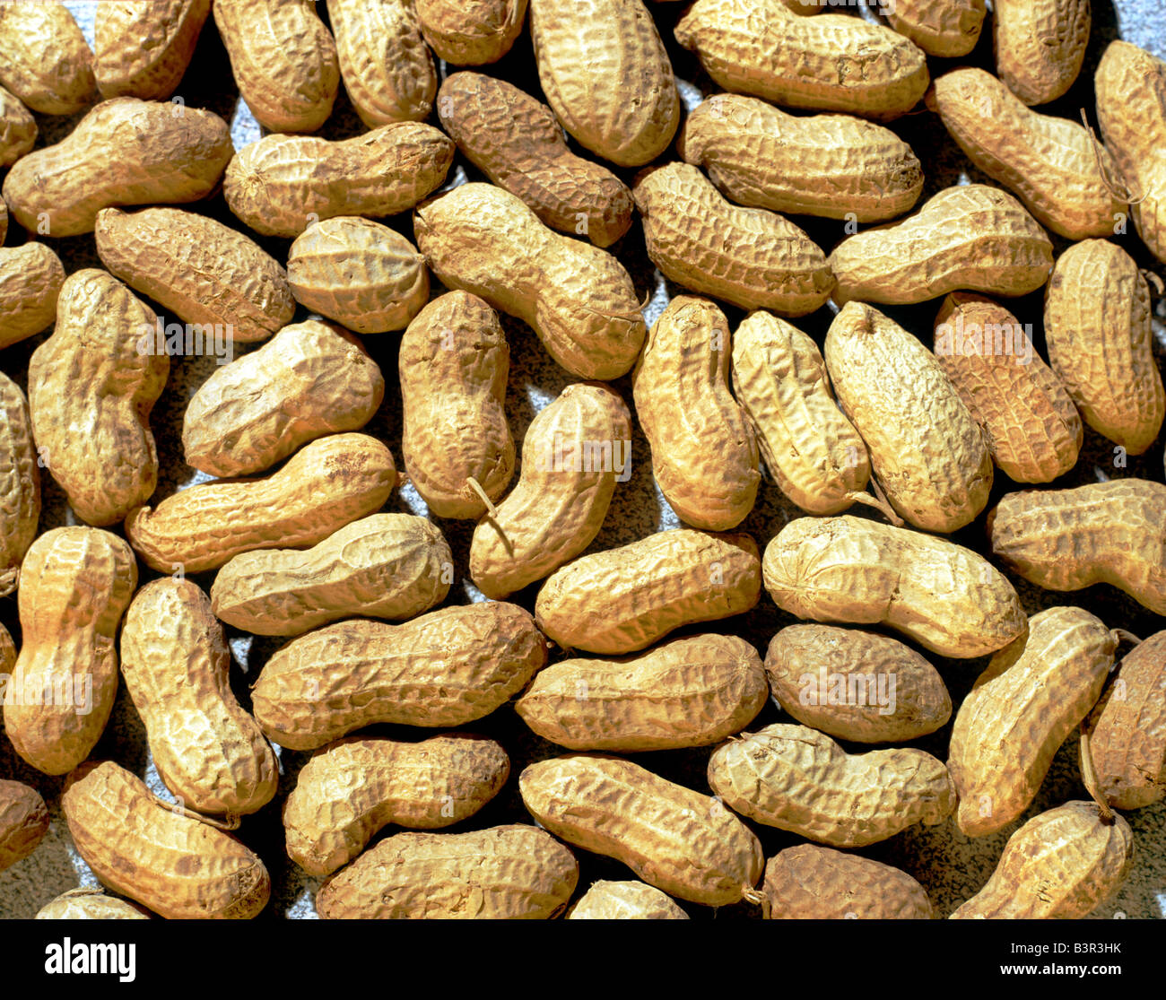 Peanuts in their shells Richard B Levine Stock Photo - Alamy