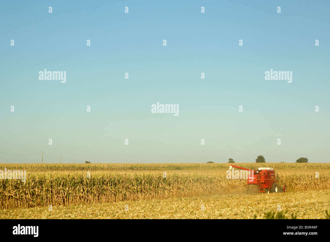 harvesting corn italian fields Stock Photo - Alamy