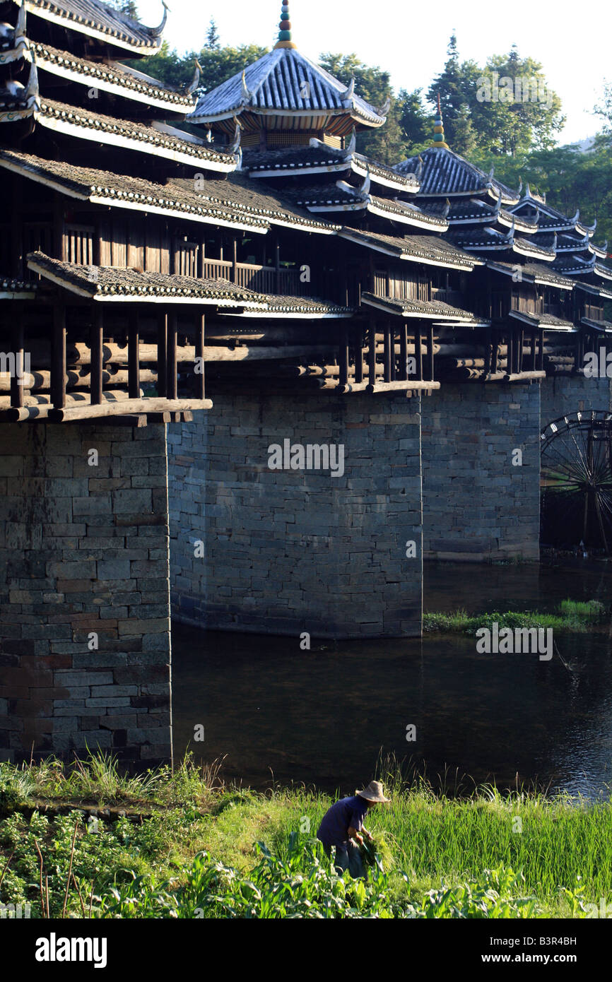 The Wind and Rain bridge at Chengyang, China with a man attending the ...