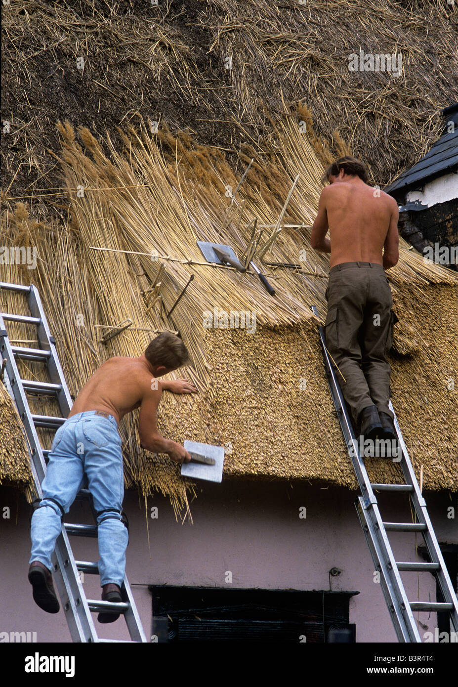Thatch Insulation High Resolution Stock Photography and Images - Alamy