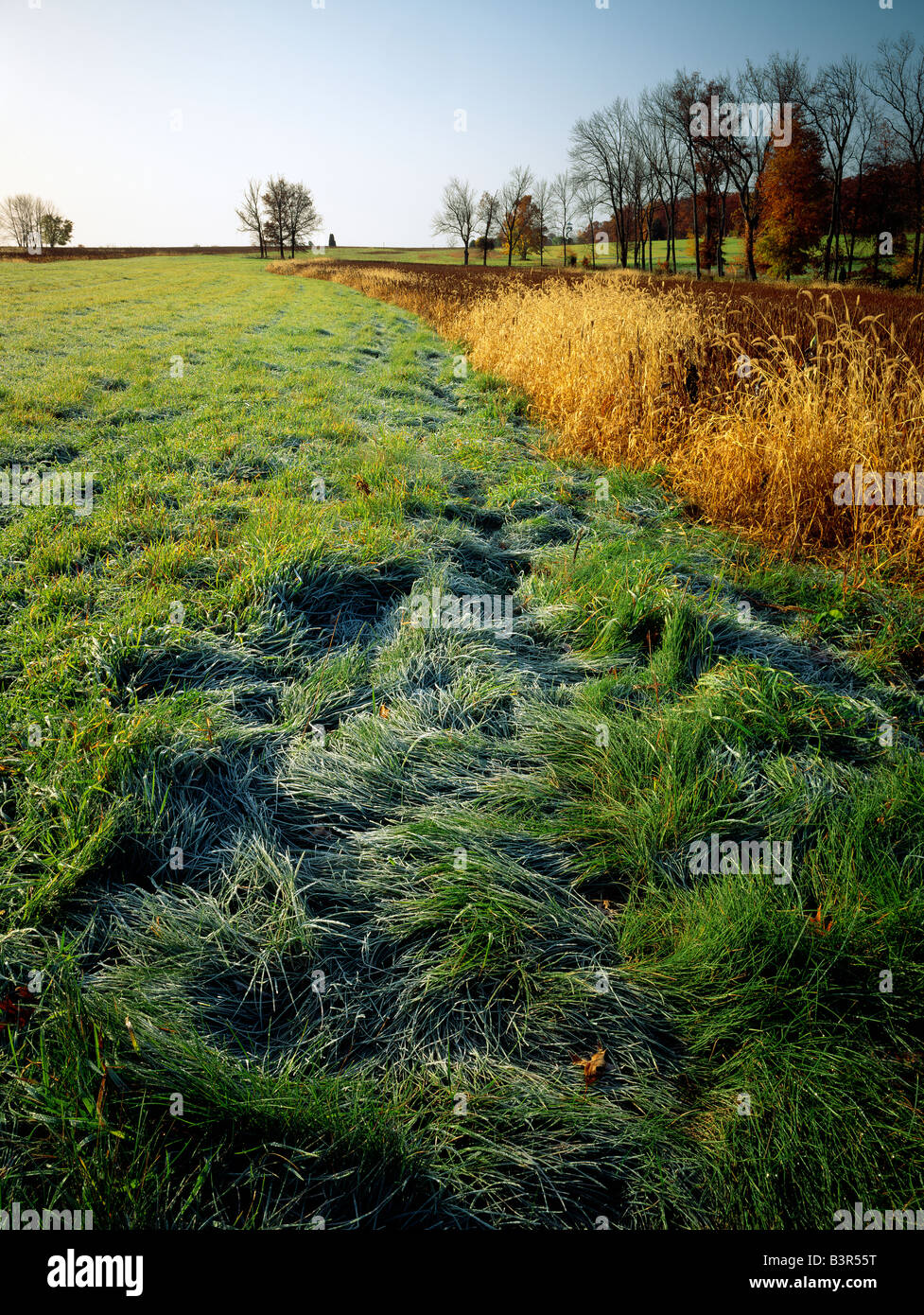 Gettysburg seminary ridge hi-res stock photography and images - Alamy