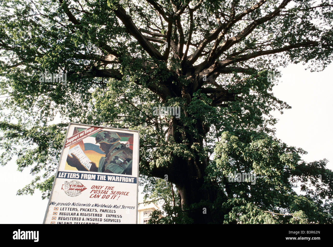 Cotton tree freetown sierra leone hi-res stock photography and images ...