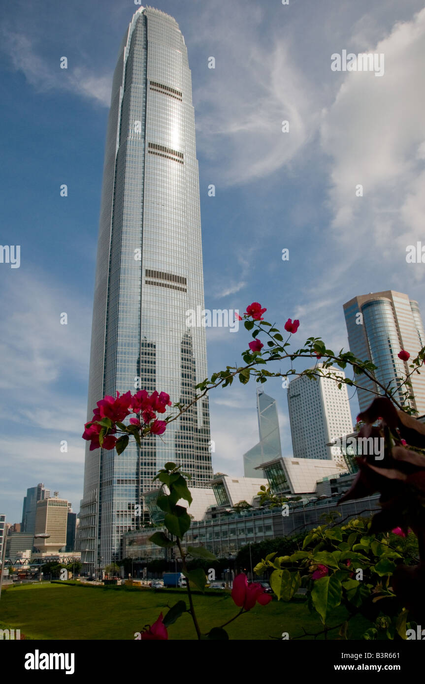 Hong Kong scene with IFC2 and pink/red flower in forground Stock Photo ...