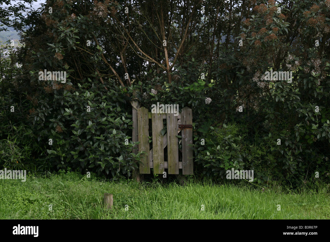 A small gate in rural County Donegal, Ireland Stock Photo - Alamy