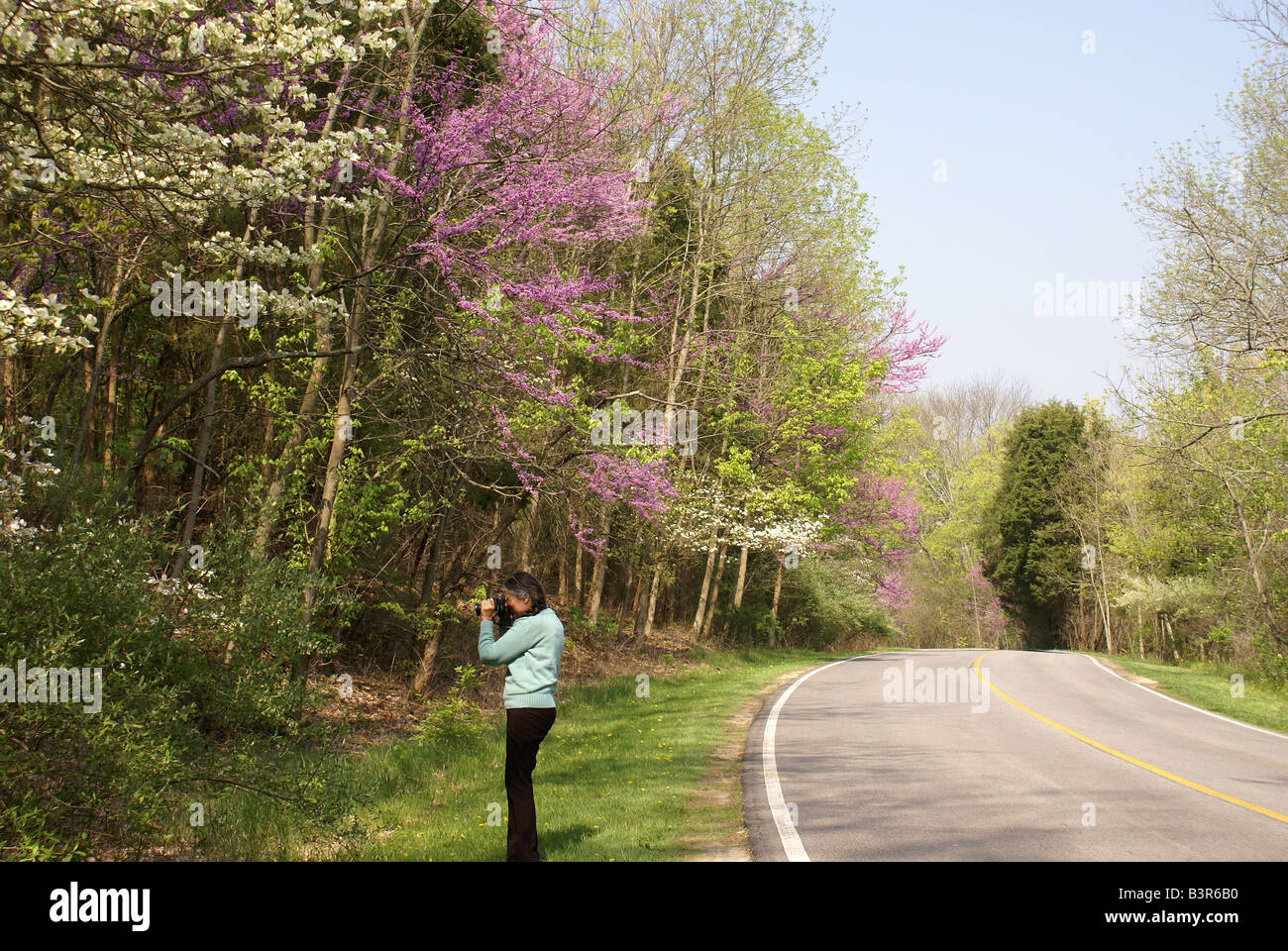 Taking Pictures in Early Springtime Stock Photo - Alamy