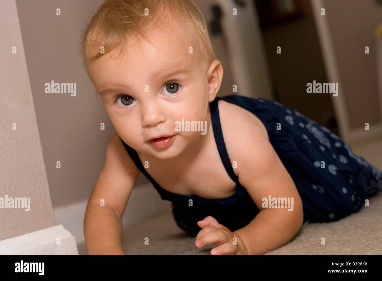 seven month old baby girl crawling towards parent at home on carpet ...