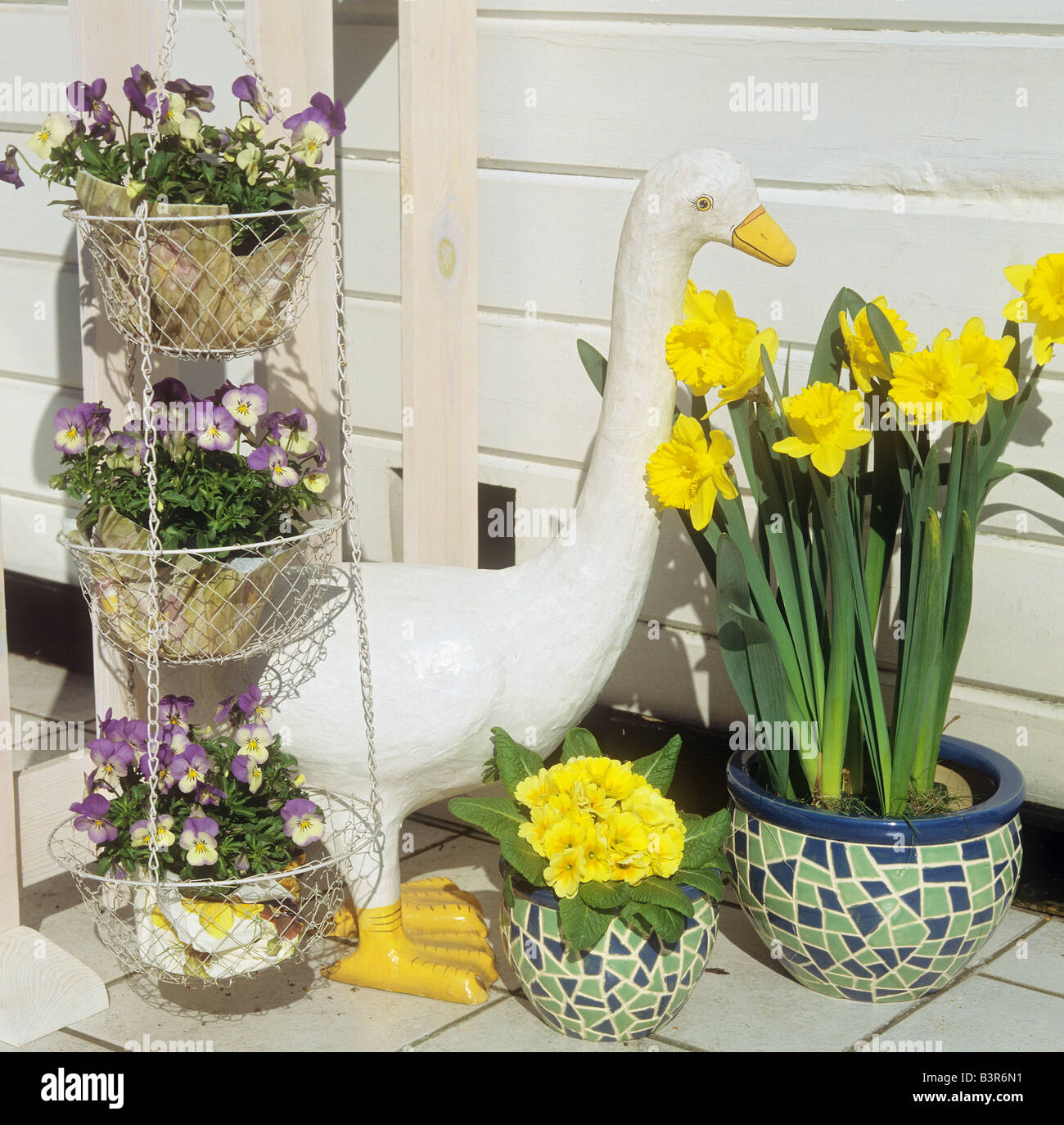 spring flowers in pots Stock Photo - Alamy