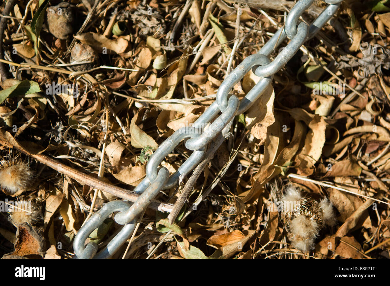 chain on dried leaves Stock Photo - Alamy