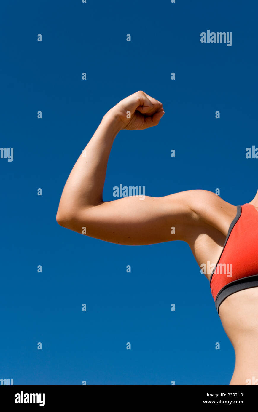 Female Arm Flexing at Everett Reynolds blog