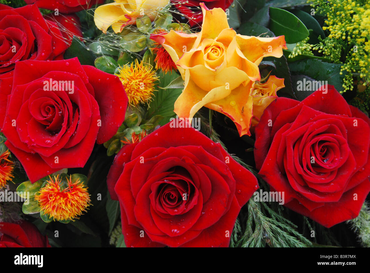 flower display at bi annual Rose festival Lottum Limburg Netherlands ...