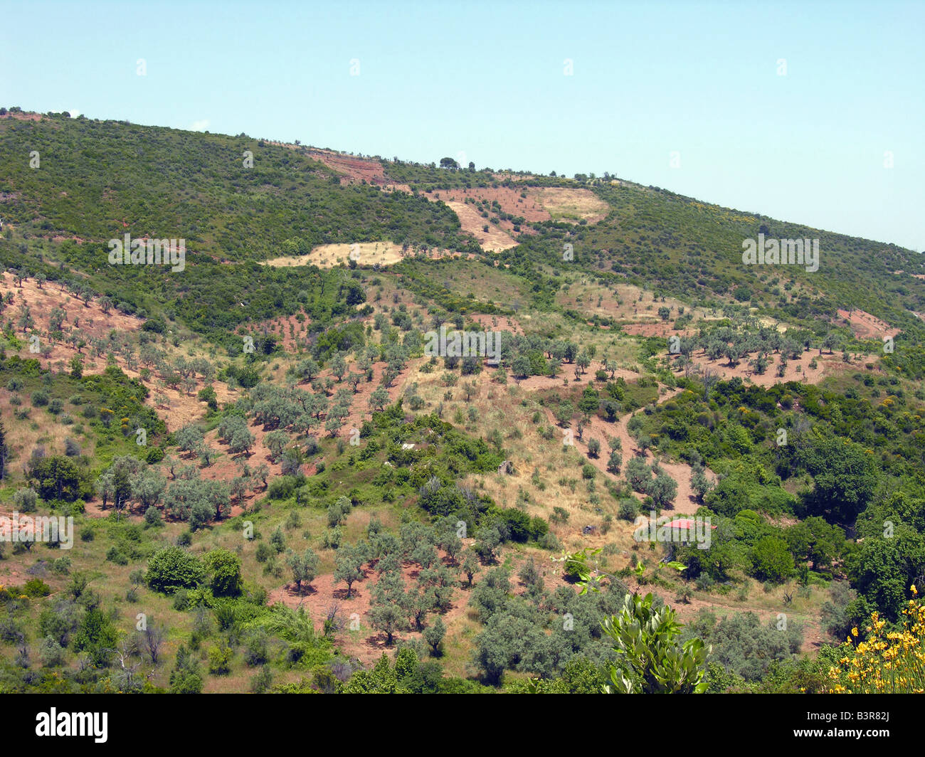 Pilion peninsula hi-res stock photography and images - Alamy