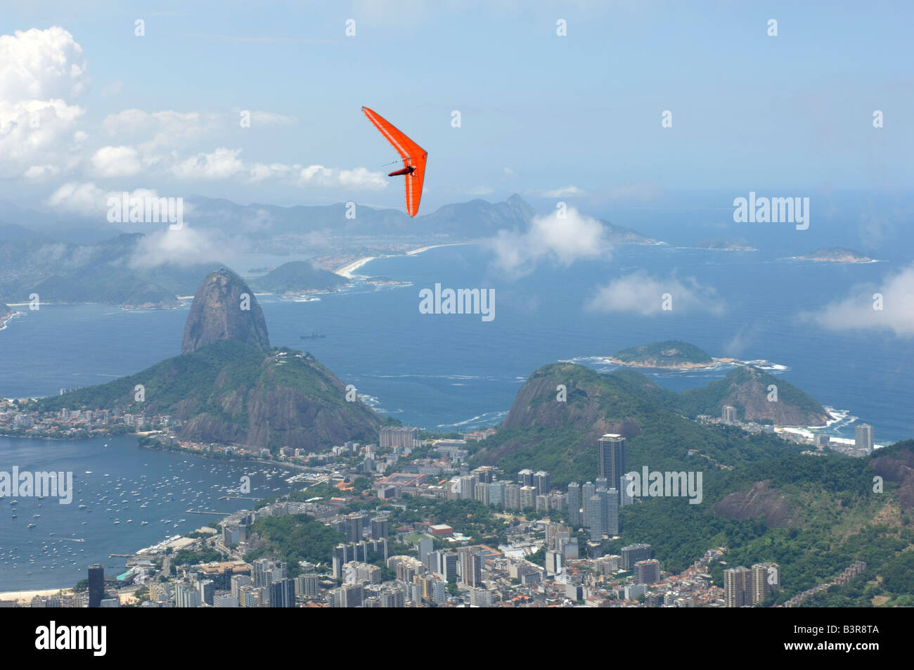 Sugar glider flying hi-res stock photography and images - Alamy