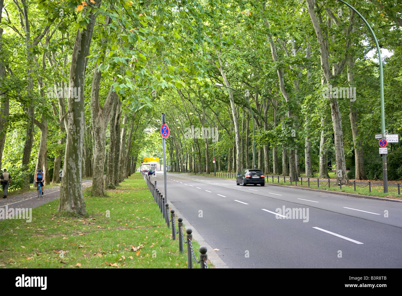 A Tree lined road forming a canopy in Berlin Germany Stock Photo - Alamy