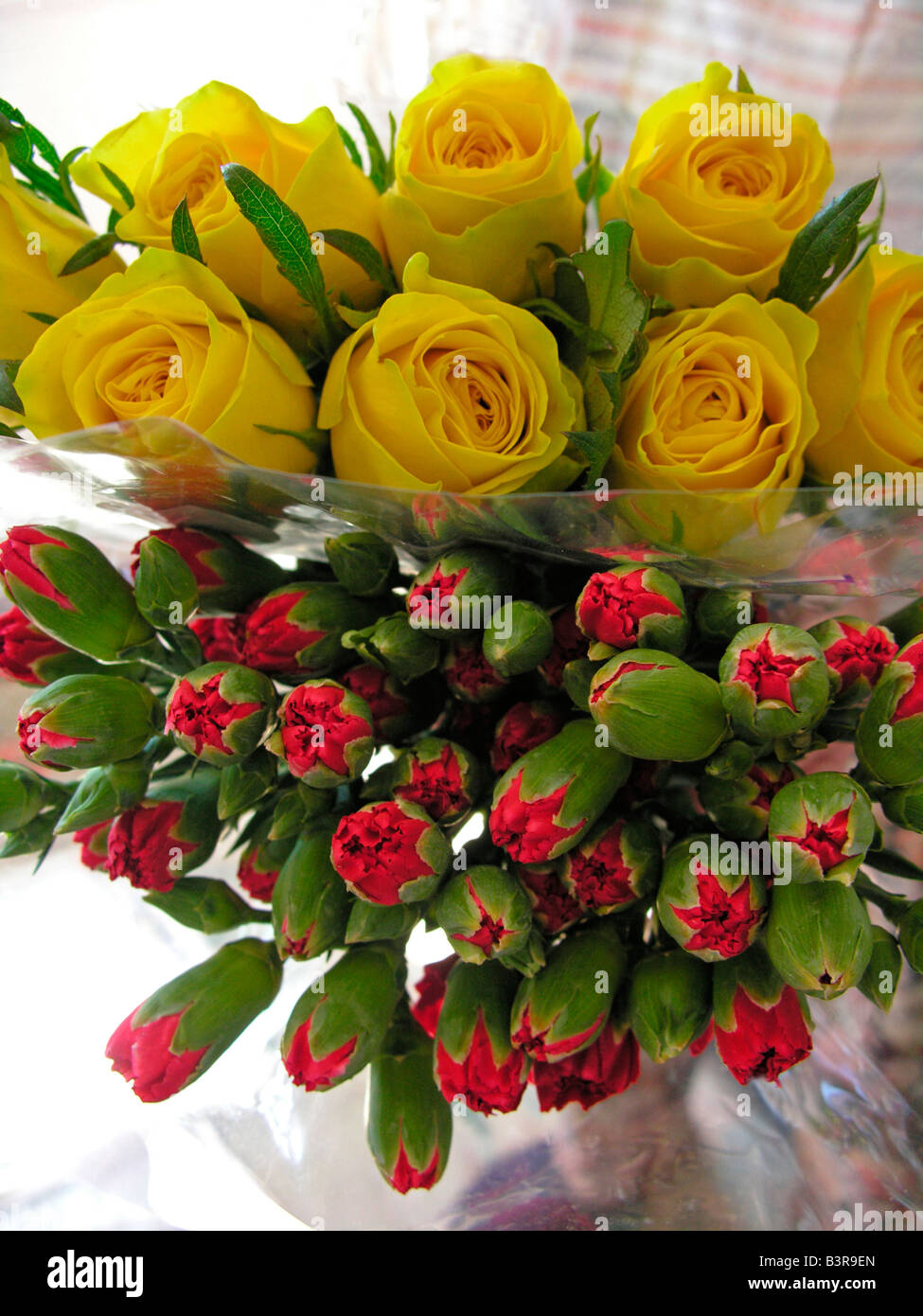 An array of roses hi-res stock photography and images - Alamy