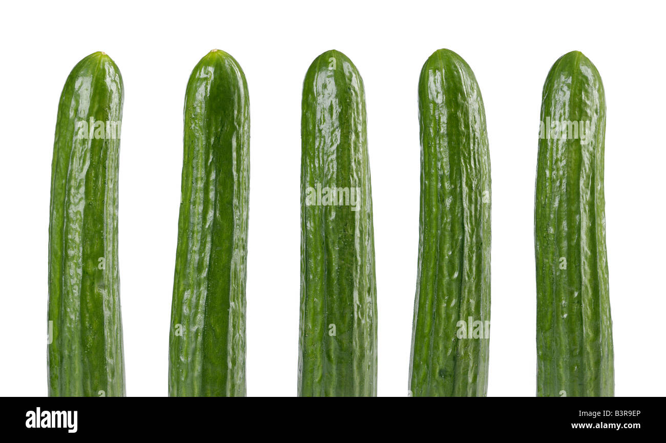English cucumber cucumbers hi-res stock photography and images - Alamy