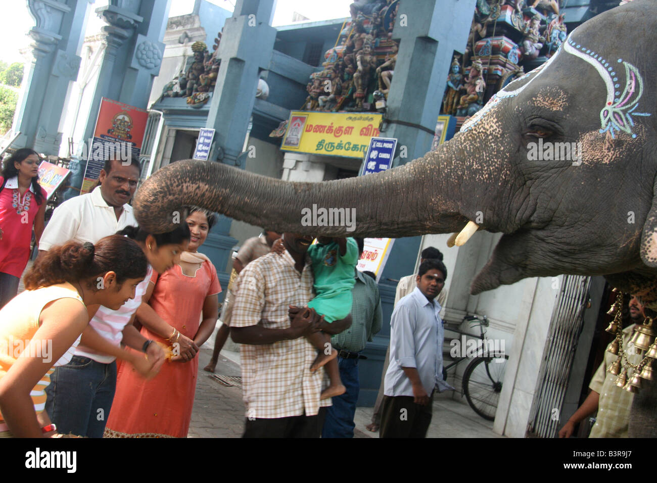 Manakula vinayagar temple hi-res stock photography and images - Alamy