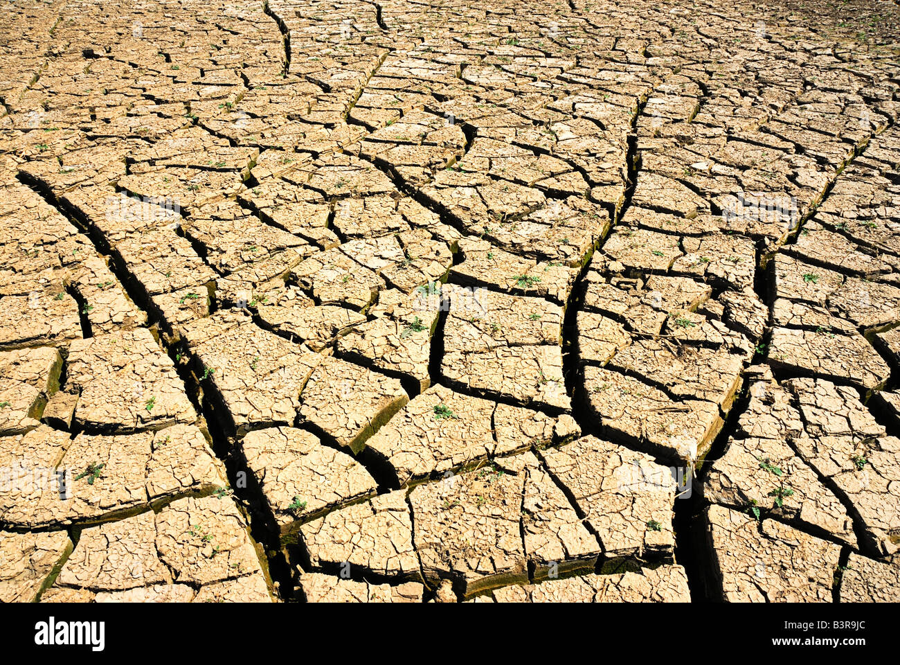 Dry river bed in desert hi-res stock photography and images - Alamy
