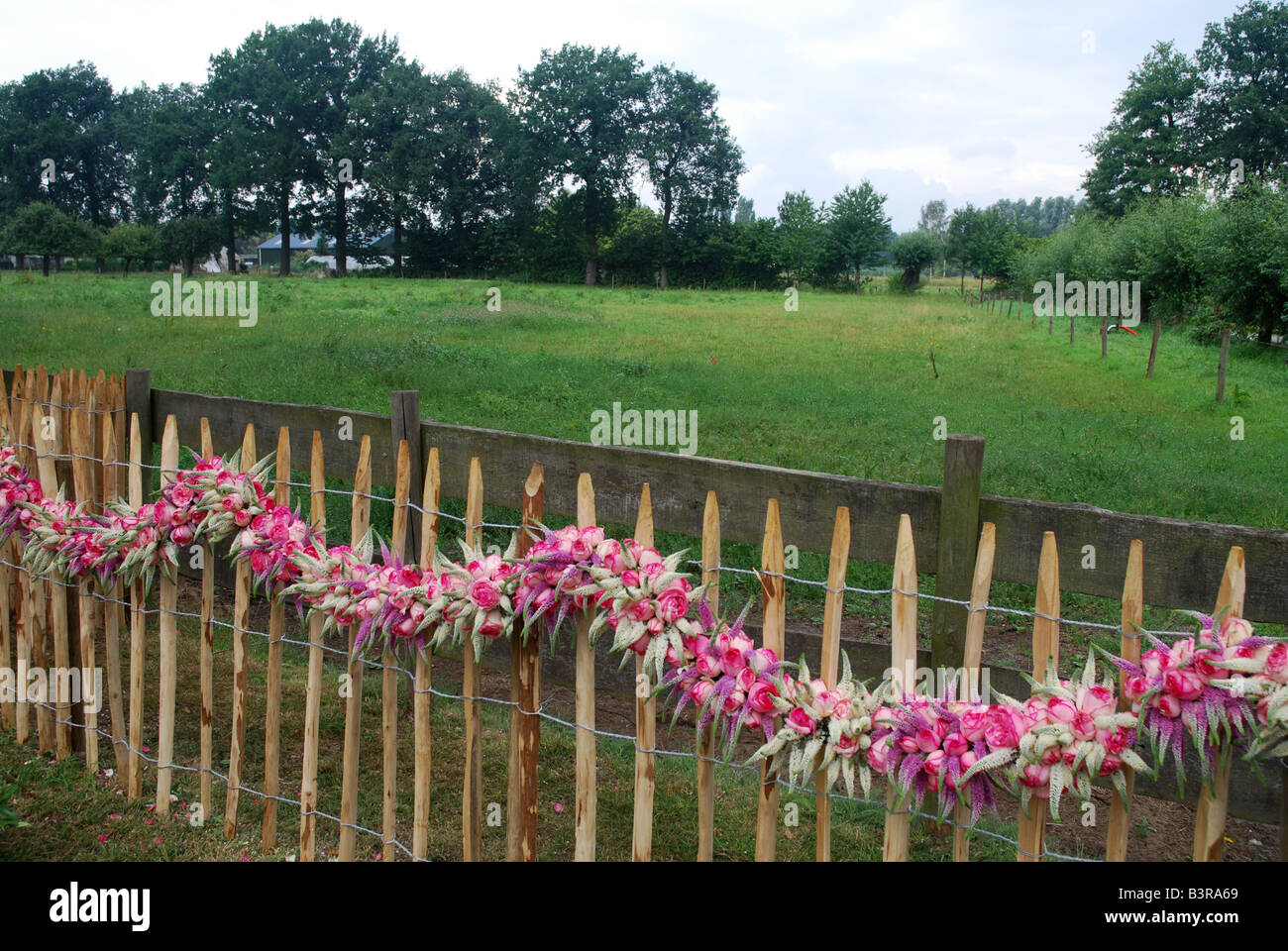flower display at bi annual Rose festival Lottum Limburg Netherlands ...