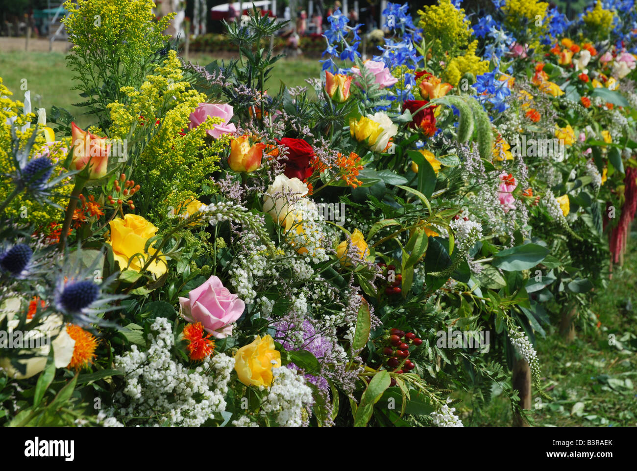 flower display at bi annual Rose festival Lottum Limburg Netherlands ...
