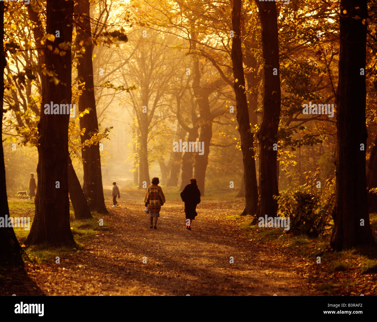 Heath avenue hi-res stock photography and images - Alamy