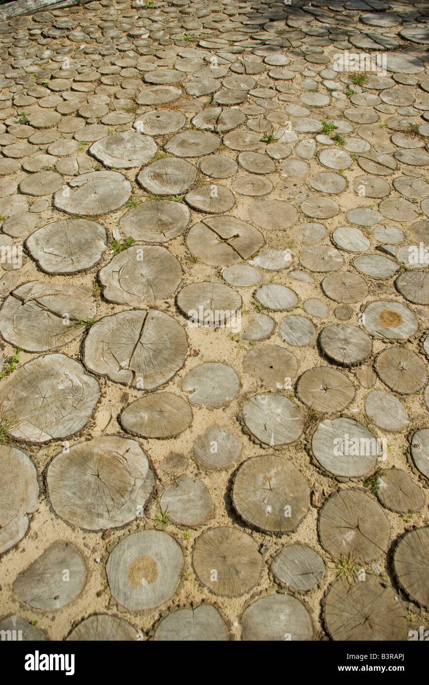 wooden paving in the garden Stock Photo - Alamy