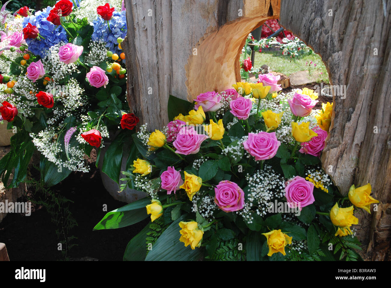 flower display at bi annual Rose festival Lottum Limburg Netherlands ...